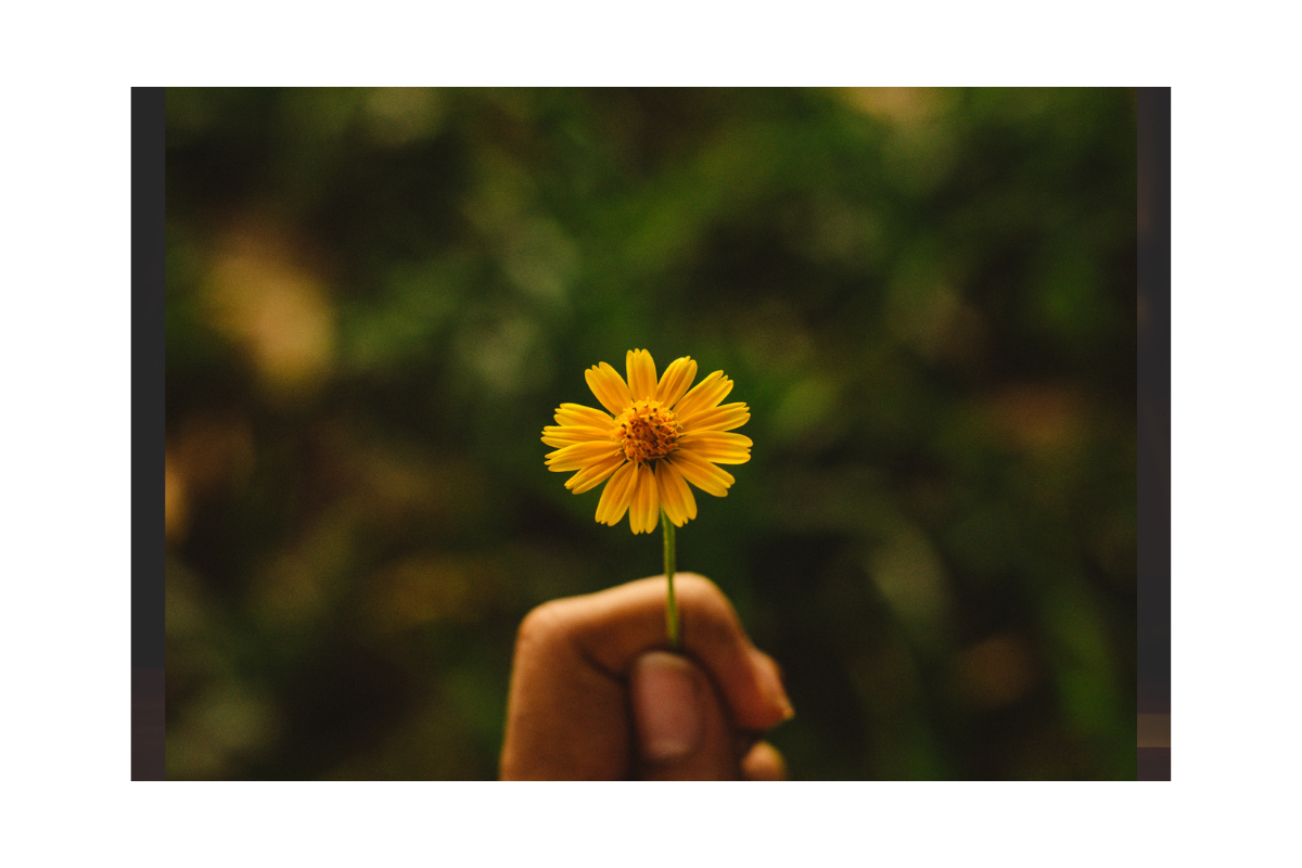 Emotional Overload or Emotional Awareness? Learning the Difference ...